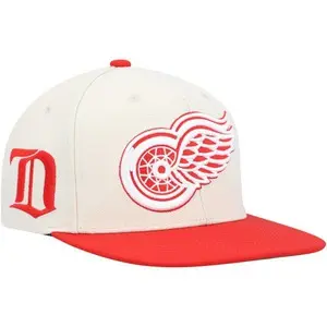 Mitchell & Ness Red Detroit Red Wings Vintage Snapback Hat