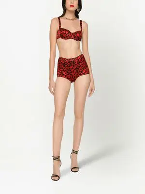Dolce & Gabbana Leopard-print Balconette Bra - Red