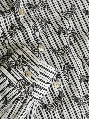 Etro Zebra-print Long-sleeved Shirt - White