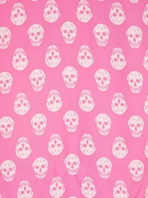 Alexander McQueen Biker Skull-print Silk Scarf
