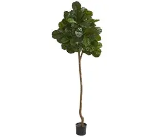 NEARLY NATURAL 7' Fiddle Leaf Fig Artificial Tree Nearly Na Tural - One-color
