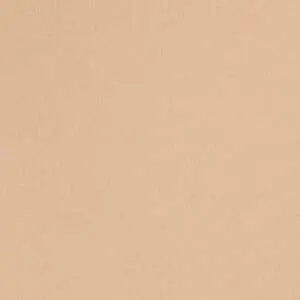 SKIMS Scoop Bralette | Light Neutral - Clay