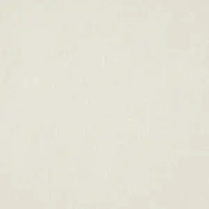 SKIMS T Shirt Bra | Black | | Cotton Jersey - Bone