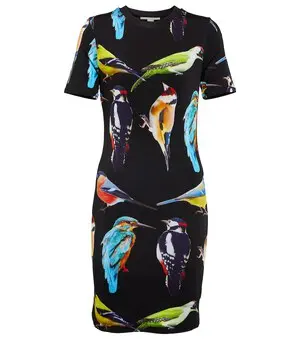 Stella McCartney Printed T-shirt Dress