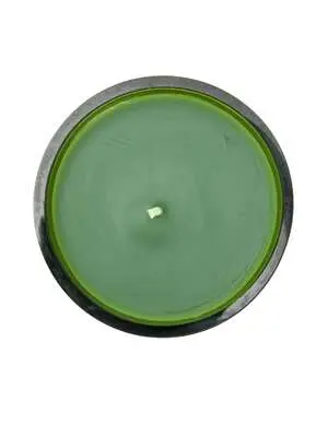 DIPTYQUE Figuier 300 Candle