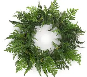 MELROSE Mixed Fern Floral Grapevine Wreath 24'd - One-color