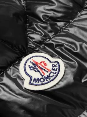 Moncler Acorus Logo-appliquéd Quilted Glossed-shell Down Jacket - Black