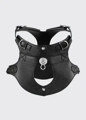 PAGERIE The Colombo Dog Harness Noir