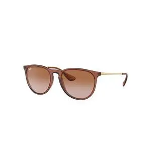Ray-ban Erika Sunglasses 54-18 Brown