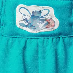 Mitchell & Ness Charlotte Hornets 1992 Hardwood Classics 75th Anniversary Swingman Shorts