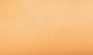 Tory Burch Lee Radziwill Small Double Bag