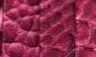 Brahmin Melbourne Croc Embossed Leather Card Wallet - Pomegranate