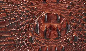 Brahmin Medium Asher Croc Embossed Leather Tote - Pecan