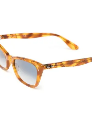 Ray-ban Lady Burbank Cat-eye Sunglasses