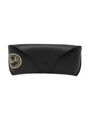 Ray-ban Lady Burbank Cat-eye Sunglasses