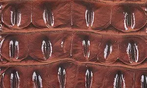 Brahmin Veronica Melbourne Croc Embossed Leather Wallet - Pecan