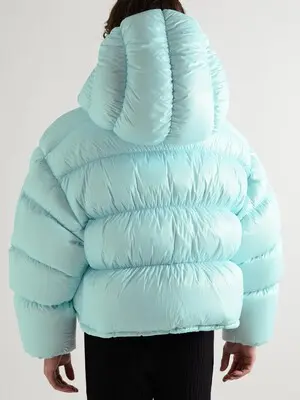 Moncler Dingyun Zhang Josa Quilted Down Jacket
