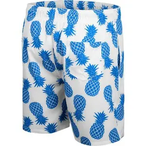 COLOSSEUM Blue Ucla Bruins Pineapple Swim Shorts