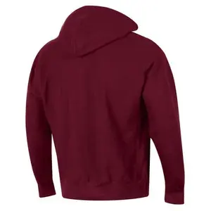 Champion Bethune-cookman Wildcats Tall Arch Pullover Hoodie