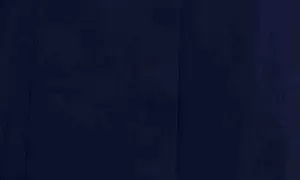 Foxcroft Taylor Non-iron Sleeveless Button-up Shirt - Navy