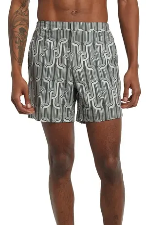 FAIR HARBOR The Sextant Swim Trunks Thyme Ocean Current