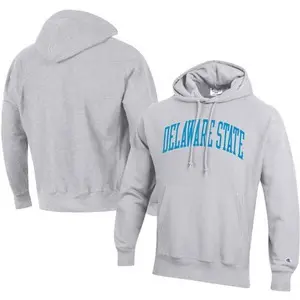 Champion Delaware State Hornets Tall Arch Pullover Hoodie - Gray