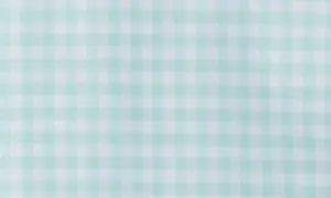 Vineyard Vines Classic Fit On-the-go Brrrº Gingham Button-down Shirt
