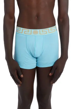 Versace Long Stretch Cotton Trunks 2v070 Light Blue Gold