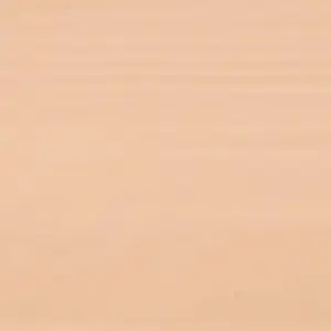 LANCOME Teint Idole Ultra Wear All Over Concealer - Neutral