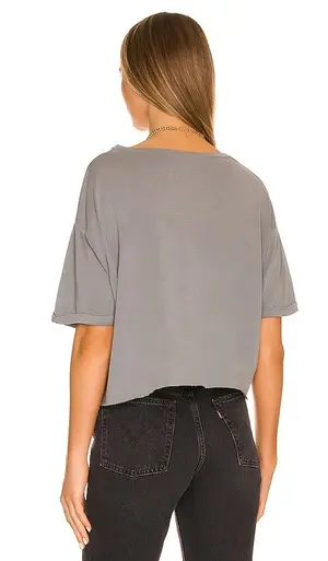 THE LAUNDRY ROOM Beer Wolf Crop Oversized Tee In Grey