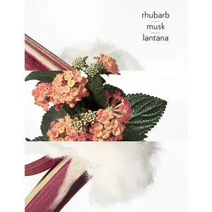 Hermès Eau De Rhubarbe Écarlate