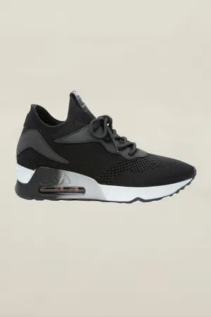 Devon Windsor X Ash Knit Sneakers - Black