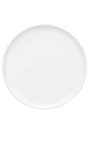 PUBLIC GOODS Ceramic Dinner Plate Set Of 4 In White
