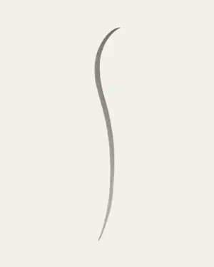 WESTMAN ATELIER Bonne Brow Defining Pencil - Bark