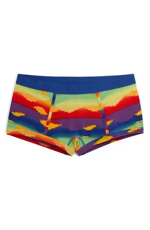 TOMBOYX Boyshorts Digital Rainbow