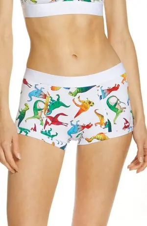 TOMBOYX Boyshorts Dinosaur Print