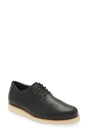 SAS Waypoint Oxford - Bison