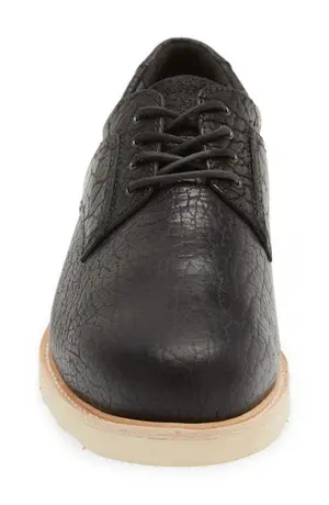 SAS Waypoint Oxford - Bison