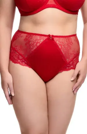 DITA VON TEESE Fiamma High Waist Brief - Rose Red