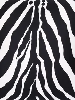 Dolce & Gabbana Zebra-print Silk Twill Cushion