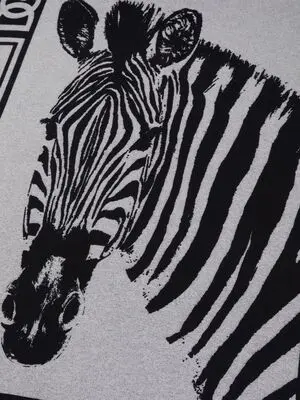 Dolce & Gabbana Zebra-jacquard Cashmere Blanket