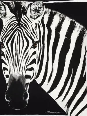 Dolce & Gabbana Zebra-print Square Cushion