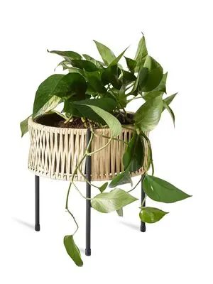 AUDO Umanoff Small Planter