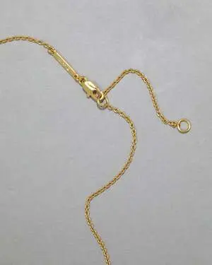 Alexis Bittar Capped Crescent Lucite Pendant Necklace