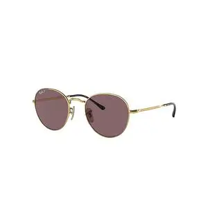 Ray-ban Elliot Sunglasses Polarized 54-19 Gold