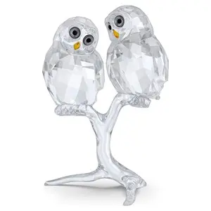 SWAROVSKI Feathered Beauties Owl Couple - White