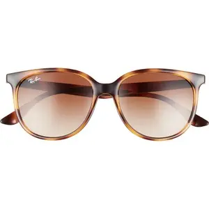 Ray-ban 54mm Gradient Square Sunglasses - Havana/gradient Brown