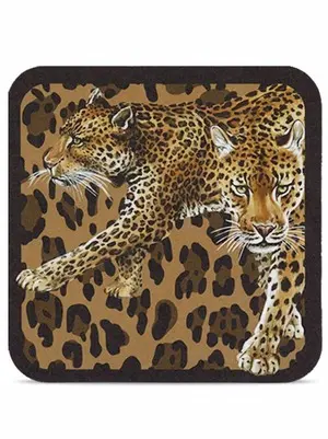 Dolce & Gabbana Leopard-print Set Of 12 Coasters - Brown