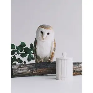 Jo Malone Wild Berry & Bramble Scented Candle