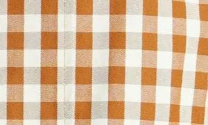 Madewell Raincloud Gingham Raincoat